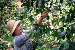 Discover our Fair for Life products – Fair for Life